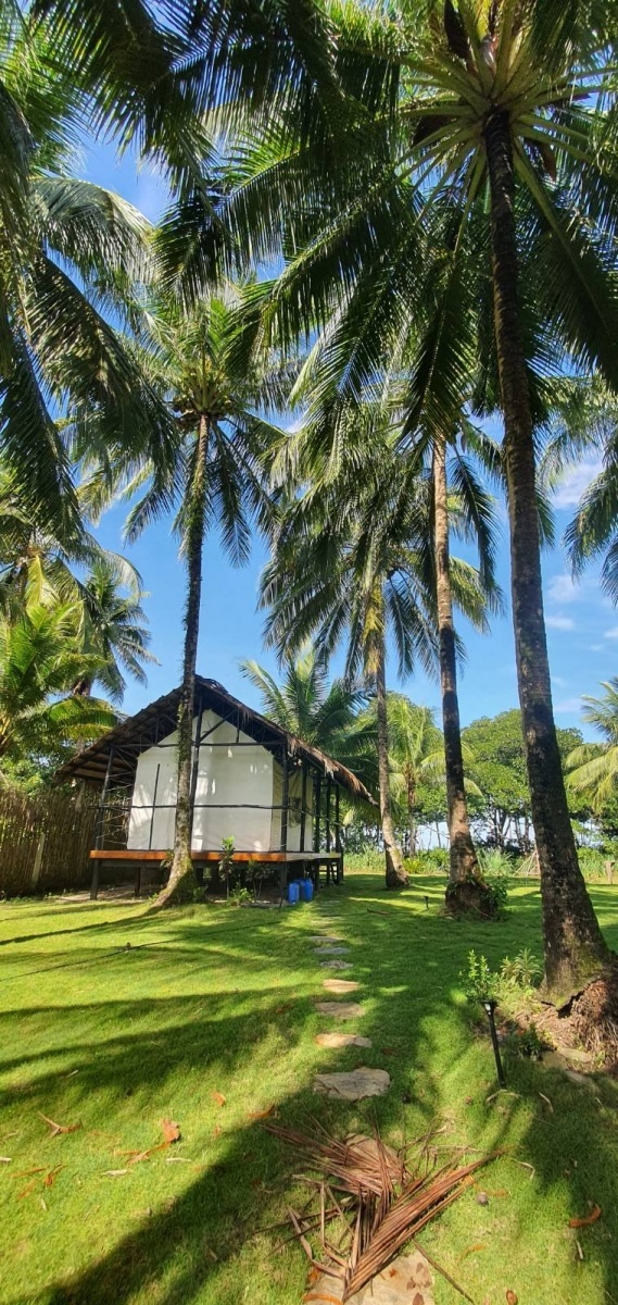 Accommodations | Binga Beach Resort - Palawan