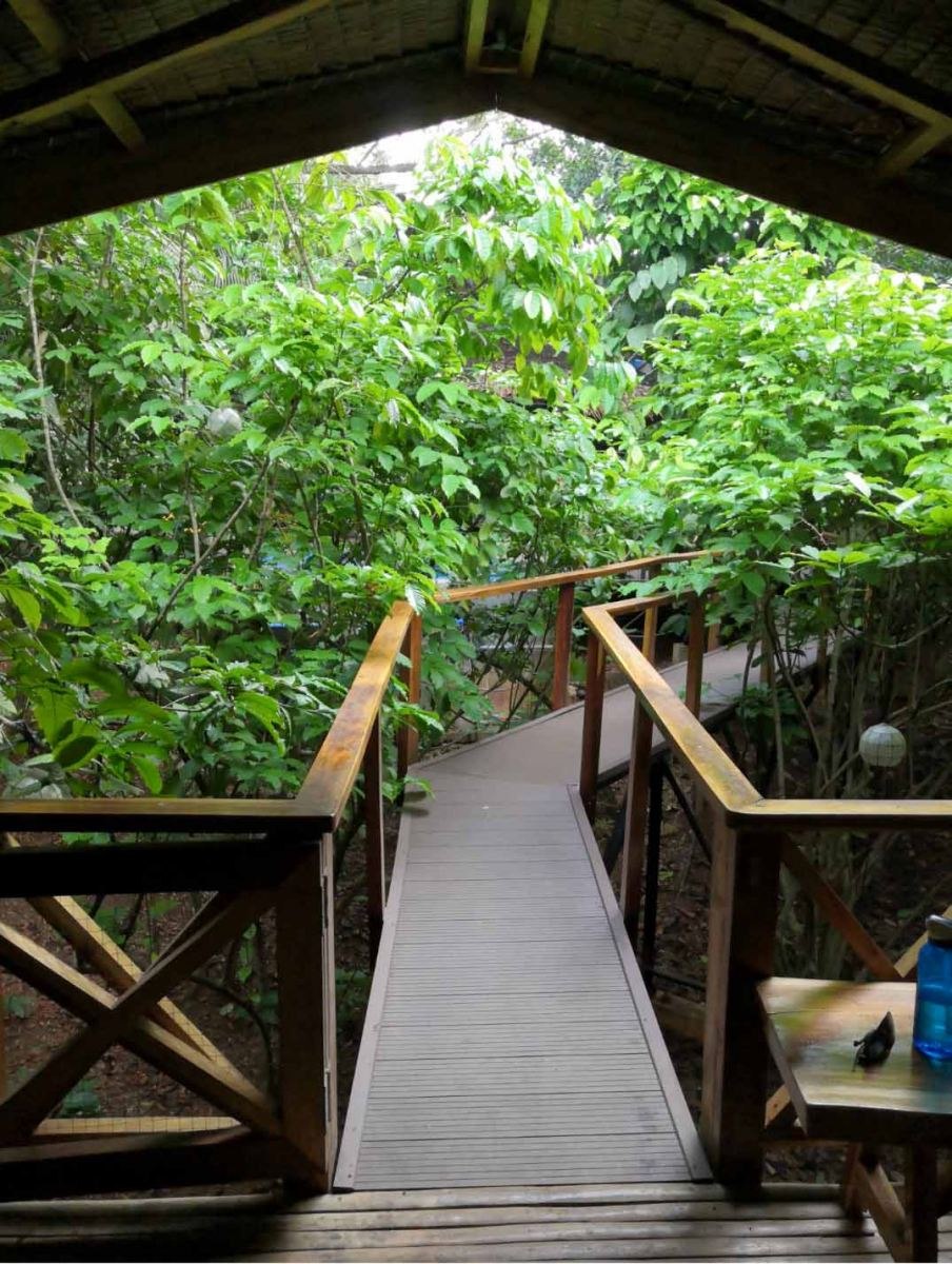 Palawan Accommodations | Binga Beach Resort - Palawan