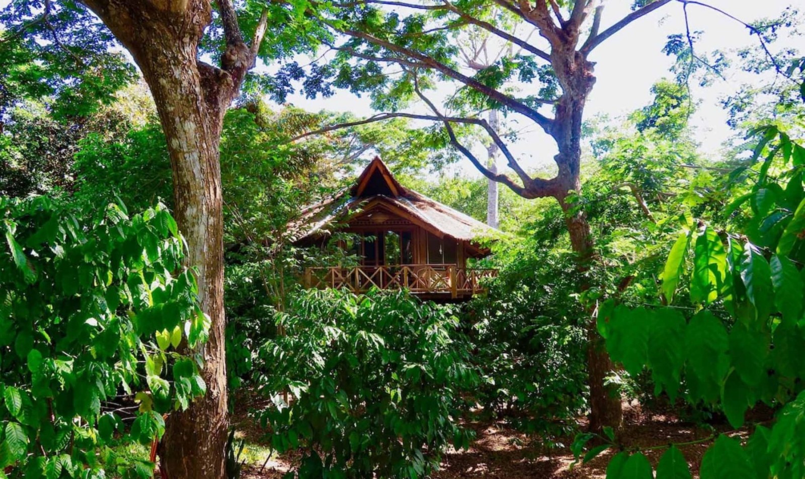 Palawan Accommodations | Binga Beach Resort - Palawan