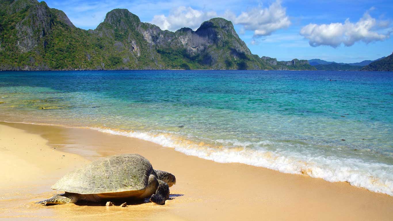 El Nido is a Top Destination - Binga Beach Resort - Palawan